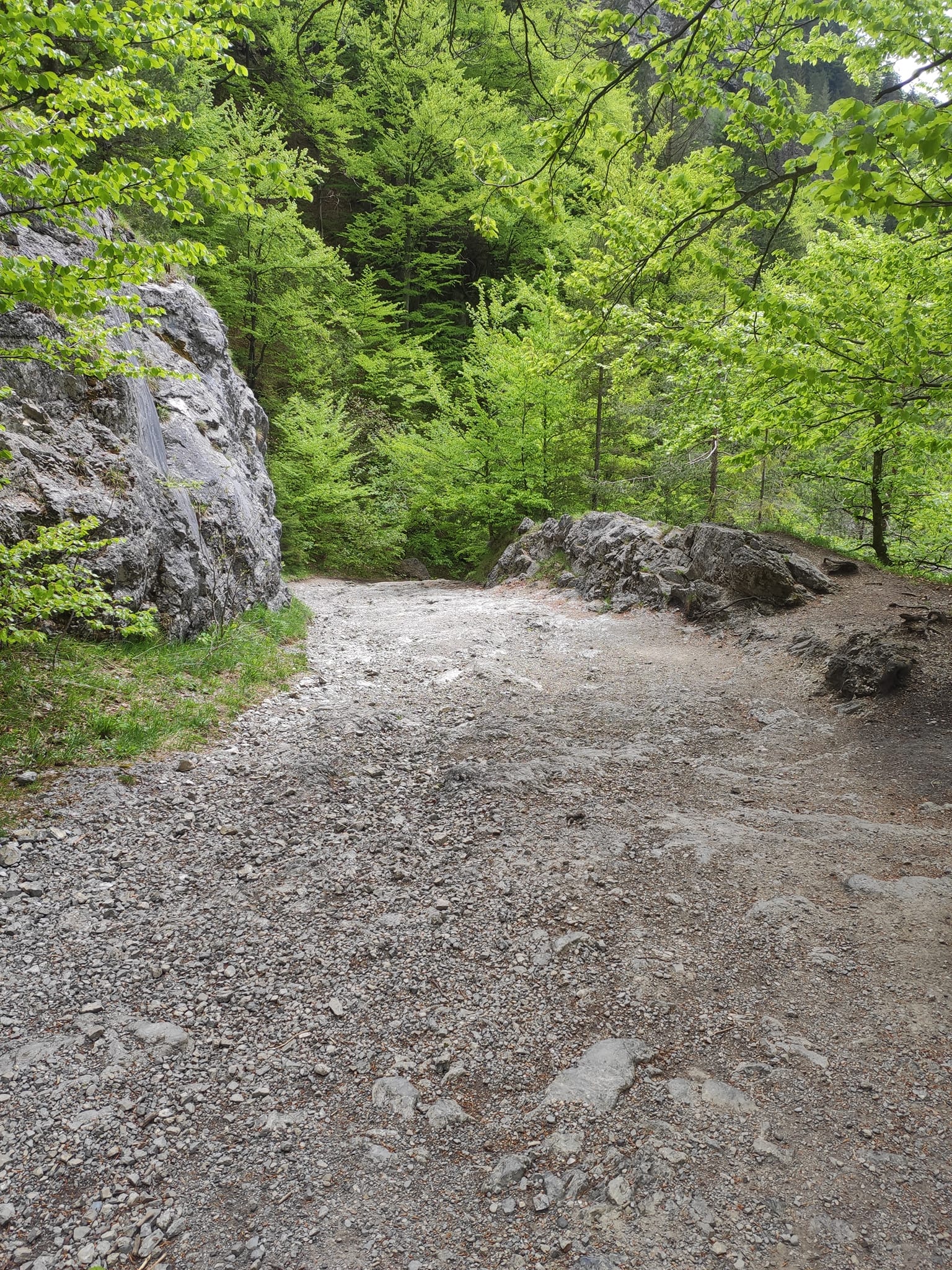 Tatra Gravel Race czyli Tatry z nowej, dzikiej perspektywy | ZAPOWIEDŹ ... Tatra Gravel Race czyli Tatry z nowej, dzikiej perspektywy | ZAPOWIEDŹ ...